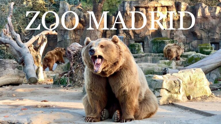 Descubre el encanto del Zoo de Madrid en Casa de Campo: ¡Una visita ...