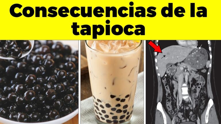 Descubre los Orígenes y Propiedades de la Tapioca: ¿De qué está hecha y ...