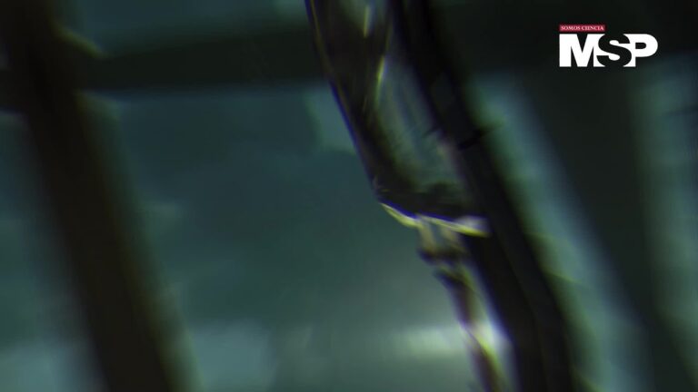 Descubre de qué se compone el suero: ingredientes clave y beneficios ...